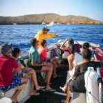 From Kihei: Molokini Crater and Turtle Town Snorkeling - The Bottom Line