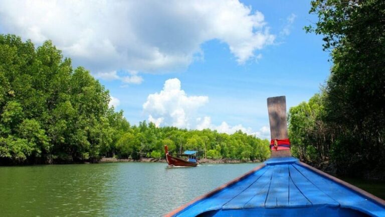 From Ko Lanta: Mangrove Eco-Excursion by Longtail Boat - Frequently Asked Questions
