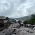 From Kochi: Athirappilly Waterfalls Day Trip with Transfers - The Experience in Detail