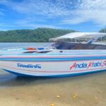 From Krabi: Phi Phi Island Full-Day Private Speed Boat Tour - Practical Details & What You Need to Know
