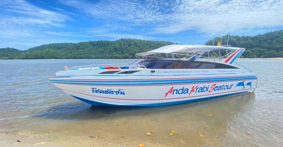 From Krabi: Phi Phi Island Full-Day Private Speed Boat Tour - Practical Details & What You Need to Know