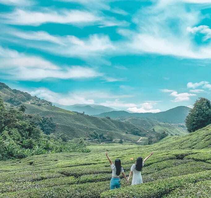 From Kuala Lumpur: Cameron Highlands Day Trip with Transfers - Who Should Consider This Tour?