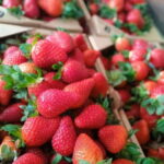 From Kuala Lumpur: Cameron Highlands Private or Join In Tour - Value for Money