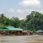 From Kuala Lumpur: Taman Negara National Park Trek Day Tour - Practical Details and Value