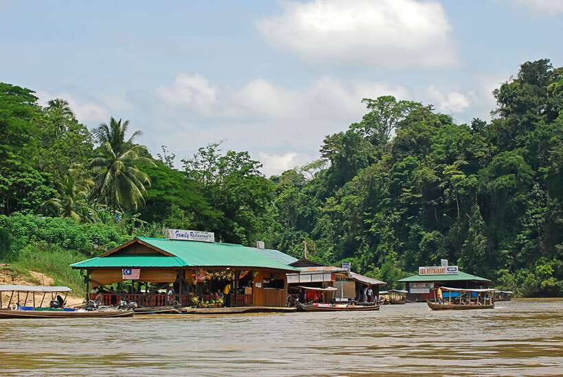 From Kuala Lumpur: Taman Negara National Park Trek Day Tour - Practical Details and Value