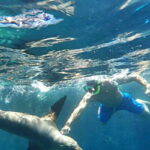 From La Paz: Espíritu Santo Island Tour all inclusive - Why This Tour Works