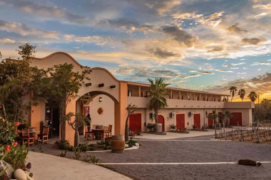 From La Playa: Vineyard Tour w/ Tasting & Todos Santos Stop - An In-Depth Look at the Itinerary