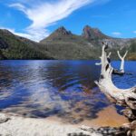 From Launceston: Sheffield Murals & Cradle Mountain Day Tour - Practicalities and Value