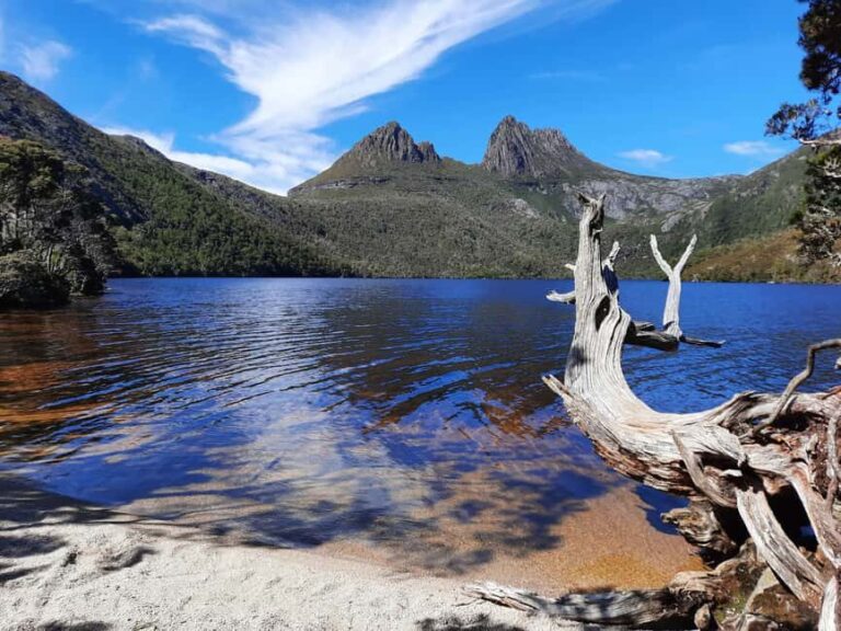From Launceston: Sheffield Murals & Cradle Mountain Day Tour - Practicalities and Value