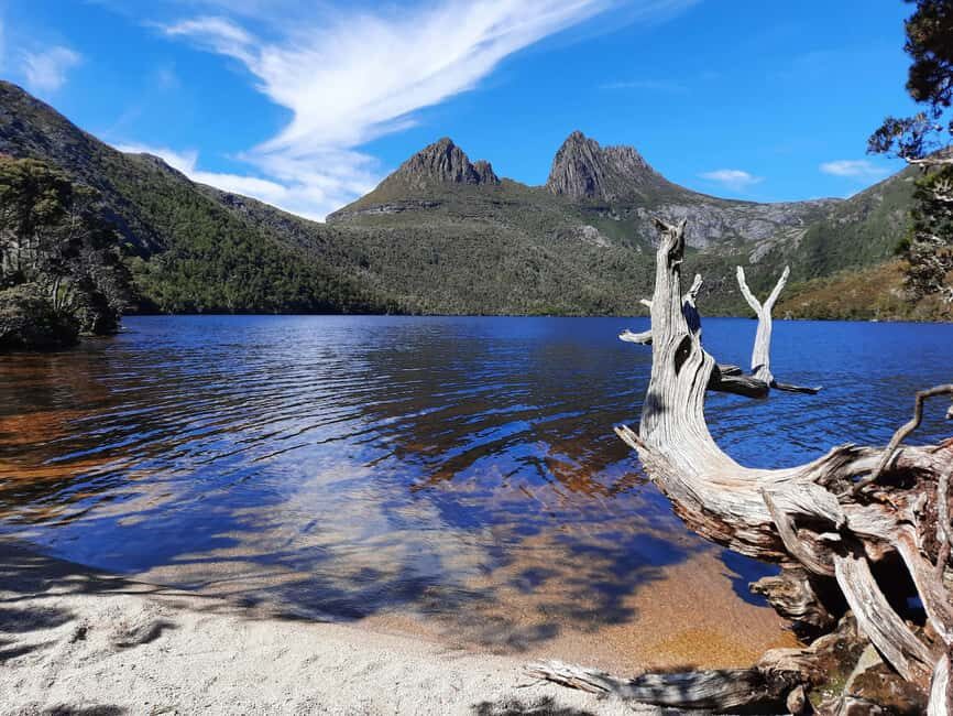From Launceston: Sheffield Murals & Cradle Mountain Day Tour - Practicalities and Value