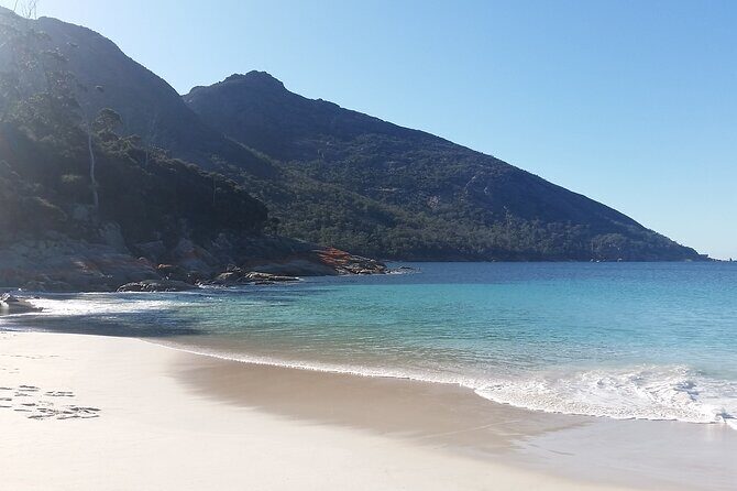 From Launceston: Wineglass Bay Explorer - Active Day Trip - What the Tour Includes and What You Should Bring