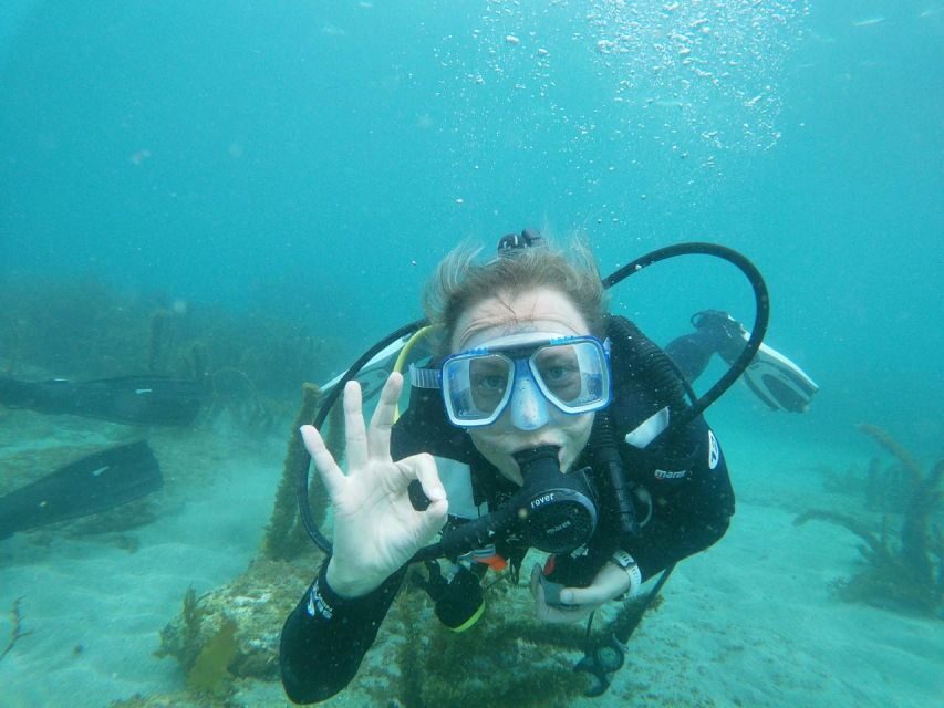 From Leigh: Goat Island Try Scuba Diving Experience - The Itinerary Breakdown