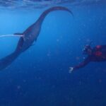 From Lembongan: Snorkeling Day Trip to Nusa Lembongan & nusa Penida island - The Allure of the Snorkeling Adventure from Nusa Lembongan