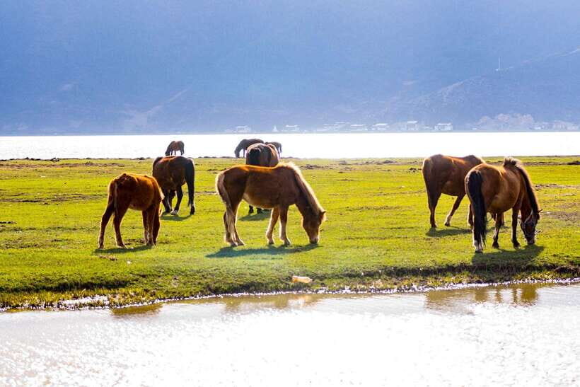 From Lijiang: 6-Day Lijiang to Shangri-La Adventure Tour - The Experience and Value
