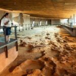 From Longreach: Outback Winton Full Day Tour - Final Thoughts—Who is This Tour For?