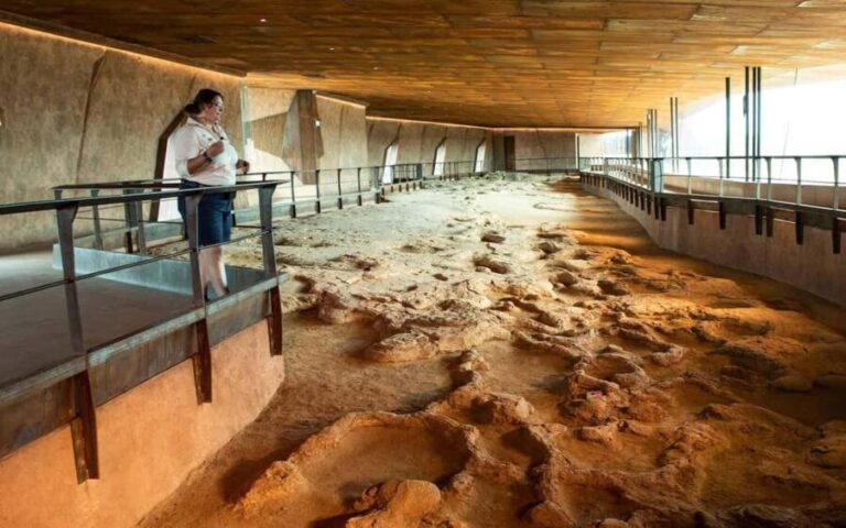 From Longreach: Outback Winton Full Day Tour - Final Thoughts—Who is This Tour For?