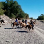 From Loreto: Baja Desert Horseback Riding Tour - Discovering the Baja Desert by Horseback