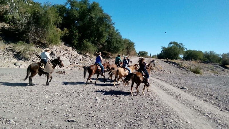 From Loreto: Baja Desert Horseback Riding Tour - Discovering the Baja Desert by Horseback