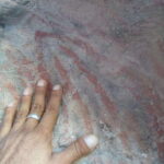 From Loreto: Canipole Cave Painting Guided Hike - Who Will Love This Tour?