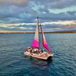 From Maalaea: Whale Watching Catamaran Cruise with Drinks - What Sets This Tour Apart?