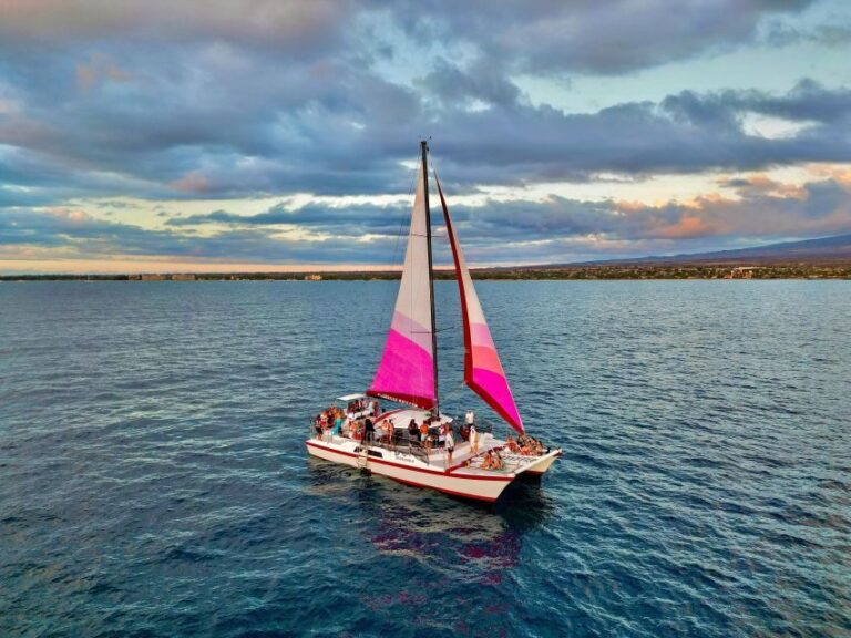 From Maalaea: Whale Watching Catamaran Cruise with Drinks - What Sets This Tour Apart?