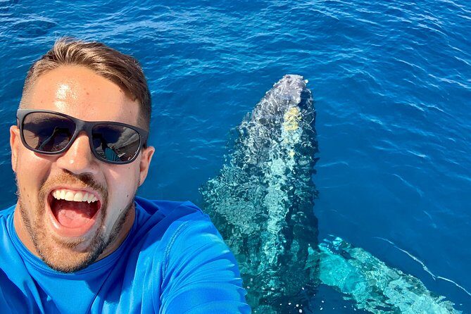 From Maalaea: Whale Watching Tour Aboard the Quicksilver - Authentic Traveler Perspectives