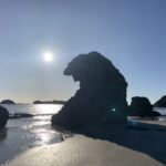 From Mackay: Wallabies on the Beach Sunrise Trip - Exploring the Itinerary: What to Expect on This Sunrise Trip