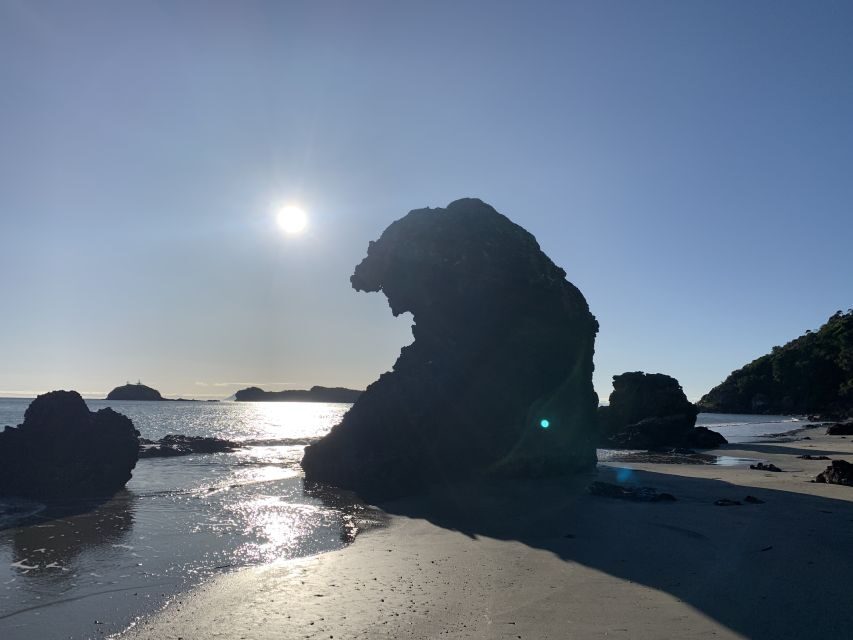 From Mackay: Wallabies on the Beach Sunrise Trip - Exploring the Itinerary: What to Expect on This Sunrise Trip