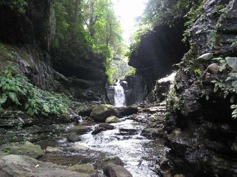 From Manila: Day Tour to Enchanting Hidden Valley - Who Should Consider This Tour?