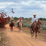 From Mazatlan: ATV & Horse Back riding with Tequila Tasting - An In-Depth Look at the Tour Experience