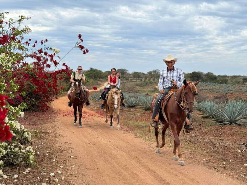 From Mazatlan: ATV & Horse Back riding with Tequila Tasting - An In-Depth Look at the Tour Experience