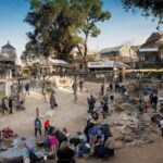 From Melbourne: Ballarat Wildlife Park & Sovereign Hill Tour - Exploring the Day in Detail