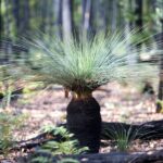 From Melbourne: Grampians National Park & Kangaroos - The Value of the Tour