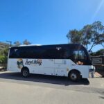 From Melbourne: Great Ocean Road, Dingos, Sparkling & Lunch - What Makes This Tour Stand Out?