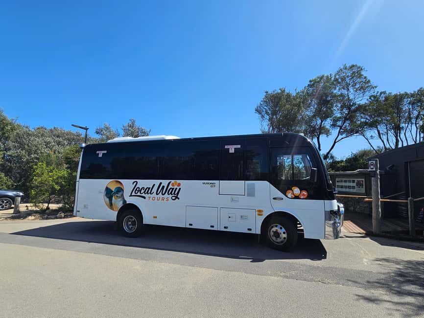 From Melbourne: Great Ocean Road, Dingos, Sparkling & Lunch - What Makes This Tour Stand Out?
