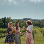 From Melbourne: Mornington Peninsula Hop-On-Hop-Off Bus - Detailed Breakdown: What to Expect at Each Stop
