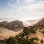 From Melbourne: Mornington Peninsula: Sightseeing Tour - A Deep Dive into the Tour Experience