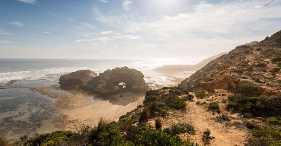 From Melbourne: Mornington Peninsula: Sightseeing Tour - A Deep Dive into the Tour Experience