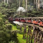 From Melbourne: Mornington Peninsula Tour and Puffing Billy - Ashcombe Maze & Lavender Gardens: A Floral Retreat
