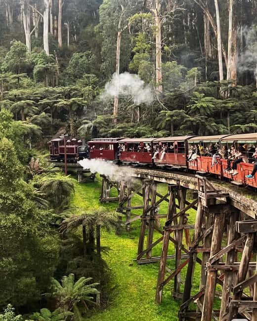 From Melbourne: Mornington Peninsula Tour and Puffing Billy - Ashcombe Maze & Lavender Gardens: A Floral Retreat