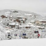 From Melbourne: Mount Buller Day Tour with Resort Entry - What’s Included and What It Means for You