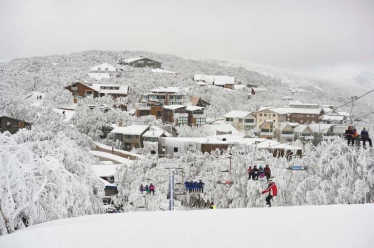 From Melbourne: Mount Buller Day Tour with Resort Entry - What’s Included and What It Means for You
