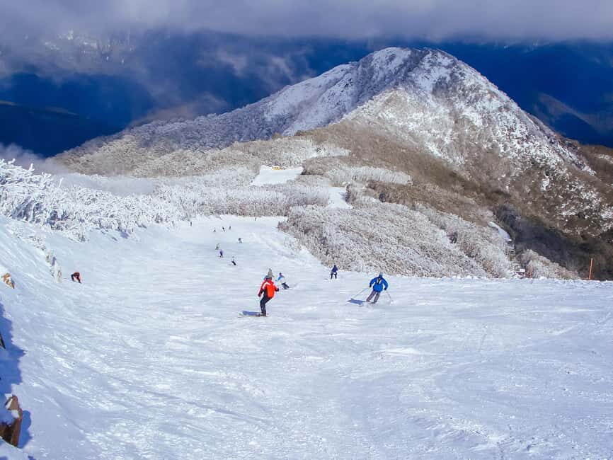 From Melbourne: Mt Buller Scenic Snow Getaway Day Tour - The Scenic Ascent and Arrival at Mt Buller