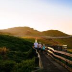 From Melbourne: Penguins and Wildlife Nature Day Tour - In-Depth Review: What to Expect on This Excursion