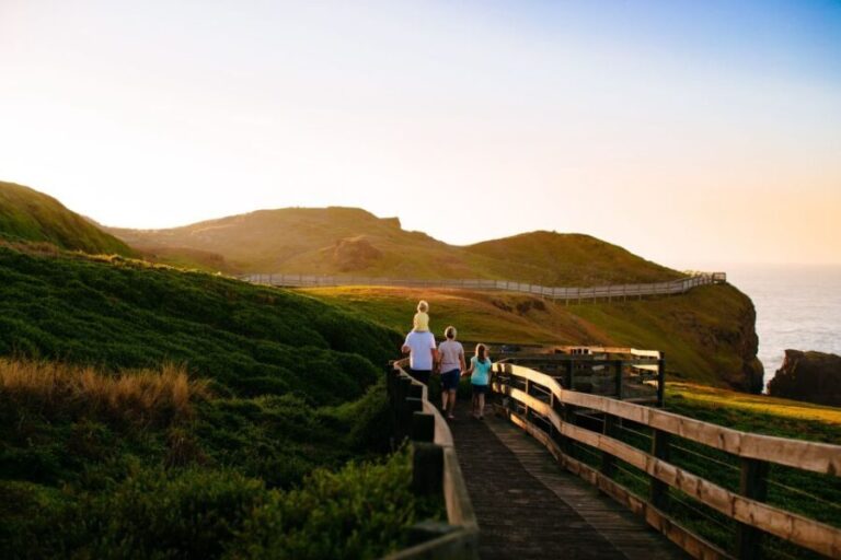 From Melbourne: Penguins and Wildlife Nature Day Tour - In-Depth Review: What to Expect on This Excursion