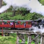 From Melbourne: Puffing Billy and Penguin Parade Combo Tour - The Practicalities: Transportation and Logistics