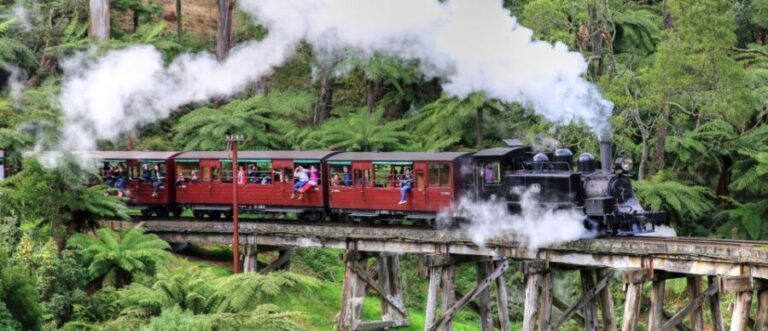 From Melbourne: Puffing Billy and Penguin Parade Combo Tour - The Practicalities: Transportation and Logistics