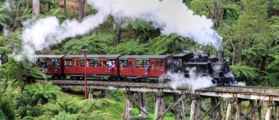 From Melbourne: Puffing Billy and Penguin Parade Combo Tour - The Practicalities: Transportation and Logistics