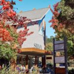 From Melbourne: Redwoods Forest & Yarra Valley Wine Tour - Authentic Experiences That Matter