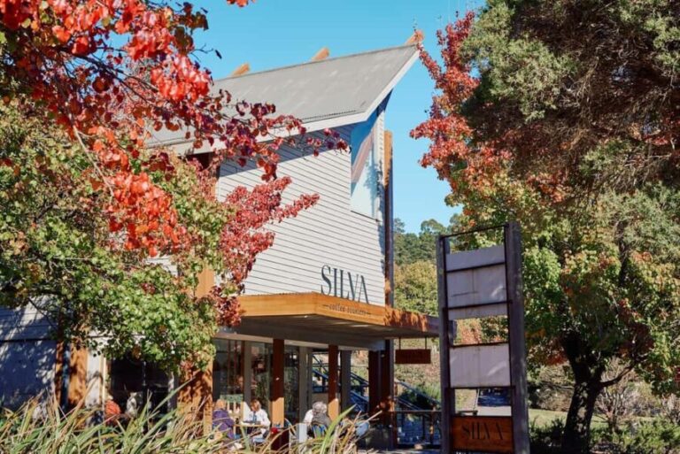 From Melbourne: Redwoods Forest & Yarra Valley Wine Tour - Authentic Experiences That Matter